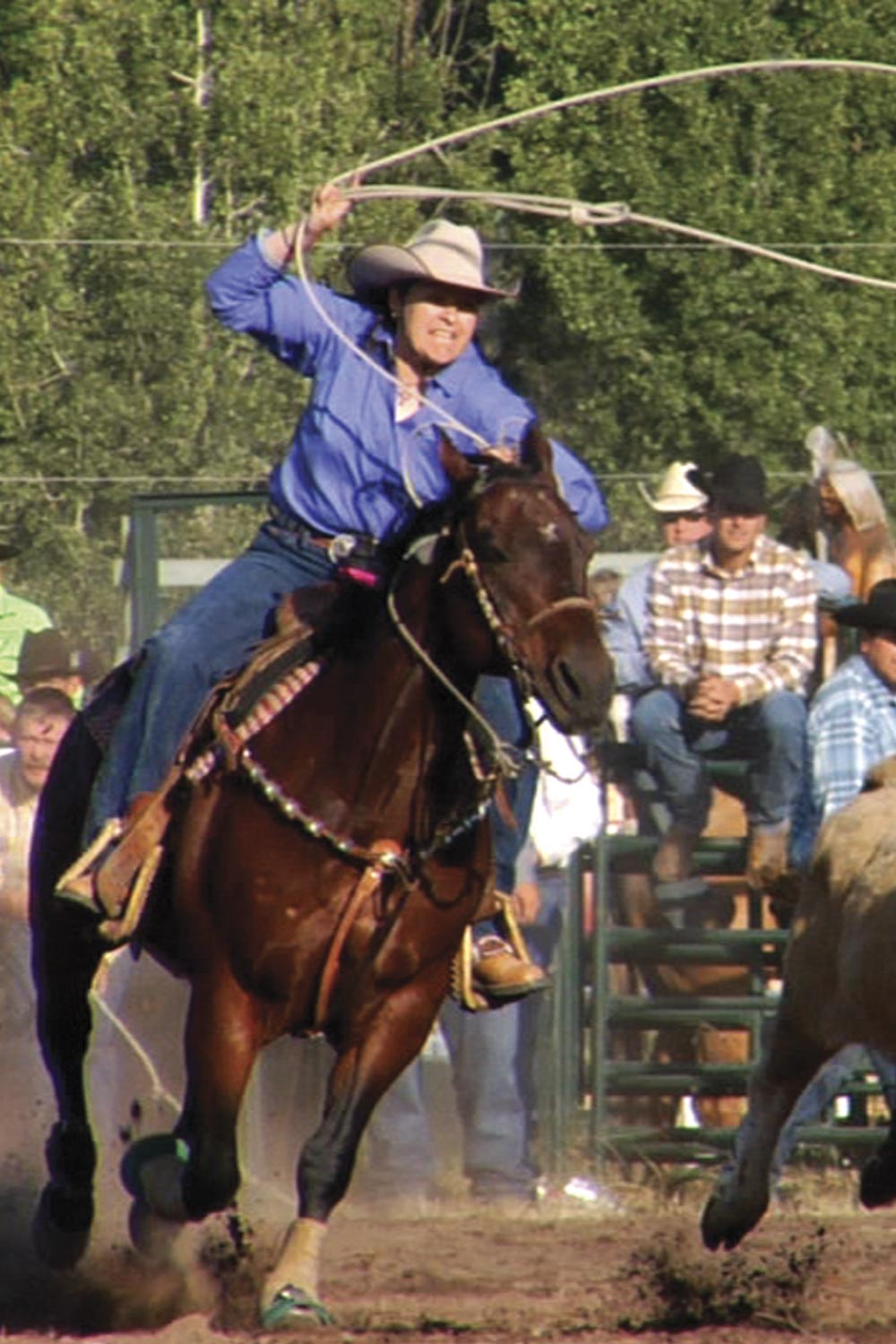 Festivals, Fairs & Gatherings | Things to do | Tourism Smithers